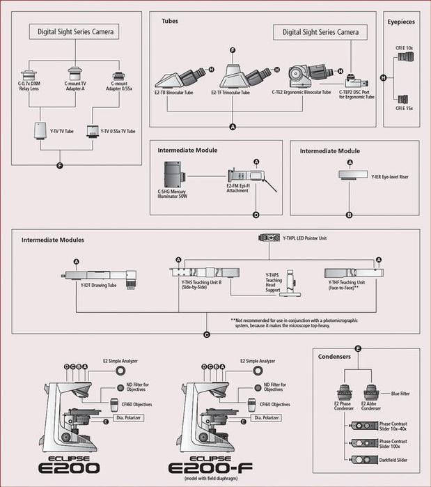 Nikon Eclipse E-200 Binocular Microscope — Microscopes.com.au