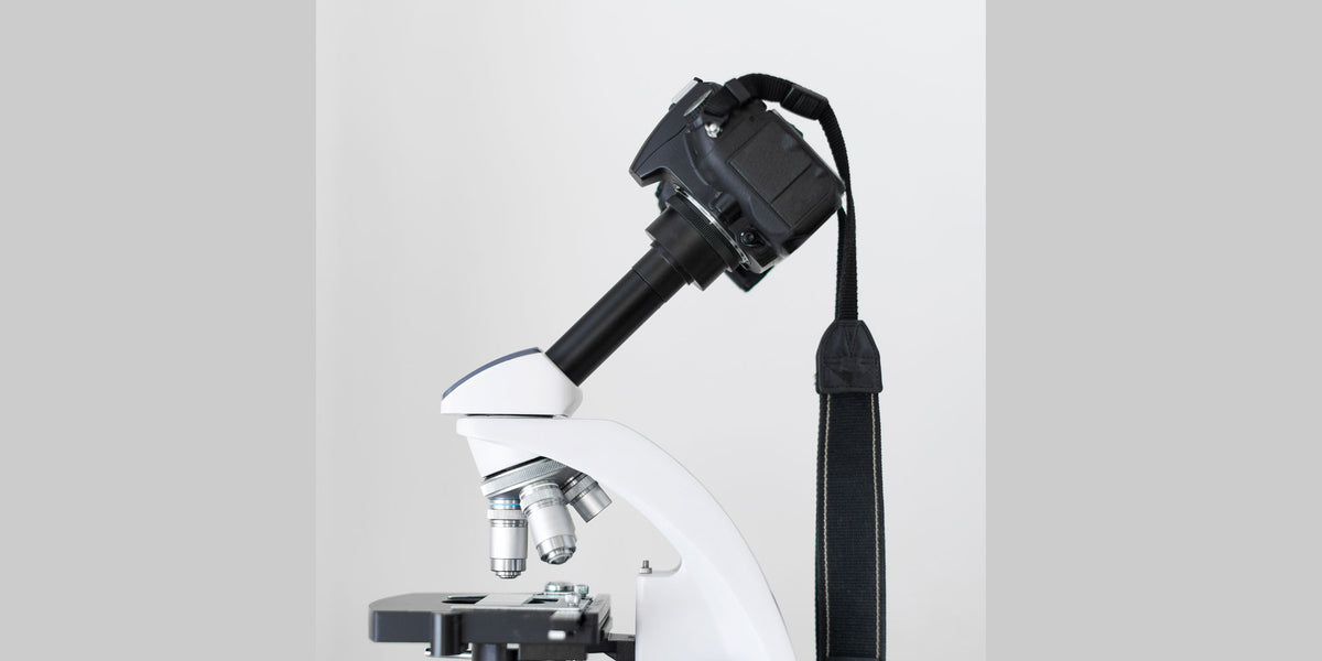 How to connect a DSLR camera to a microscope — Microscopes.com.au