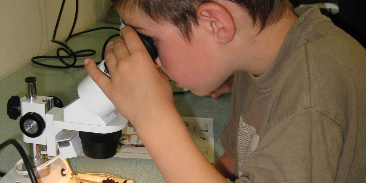 STEM - Schools and Microscopes — Microscopes.com.au