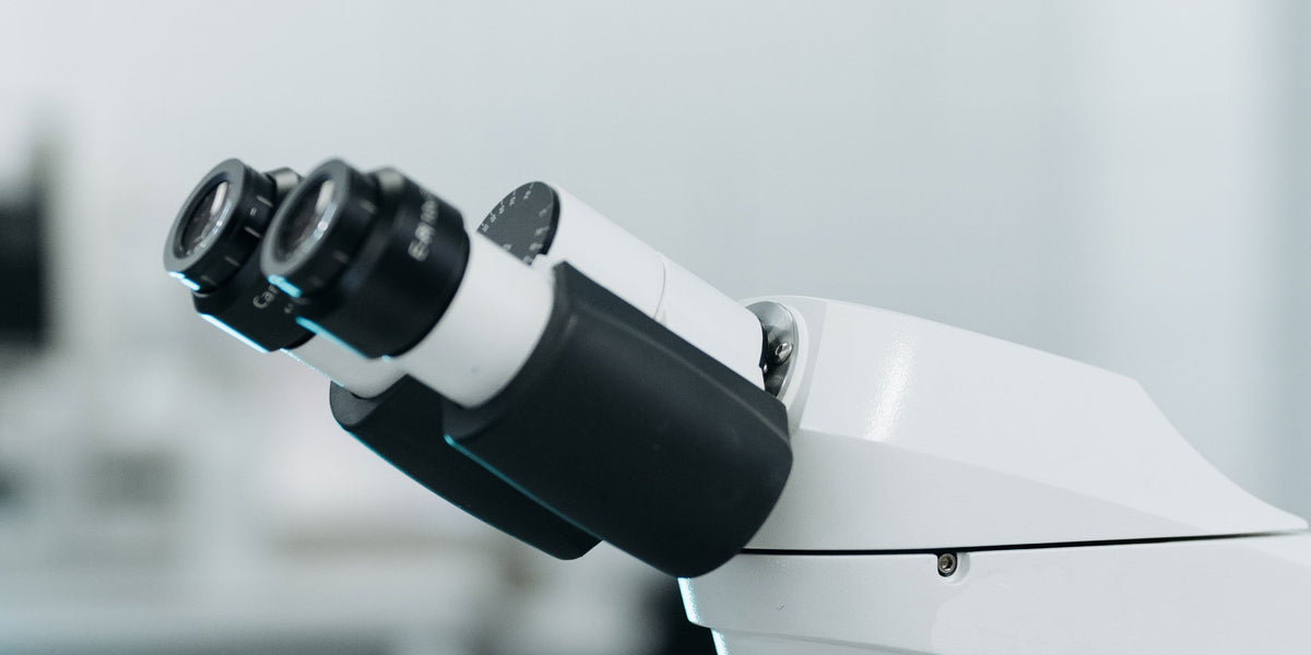 The Siedentopf binocular microscope head explained — Microscopes.com.au