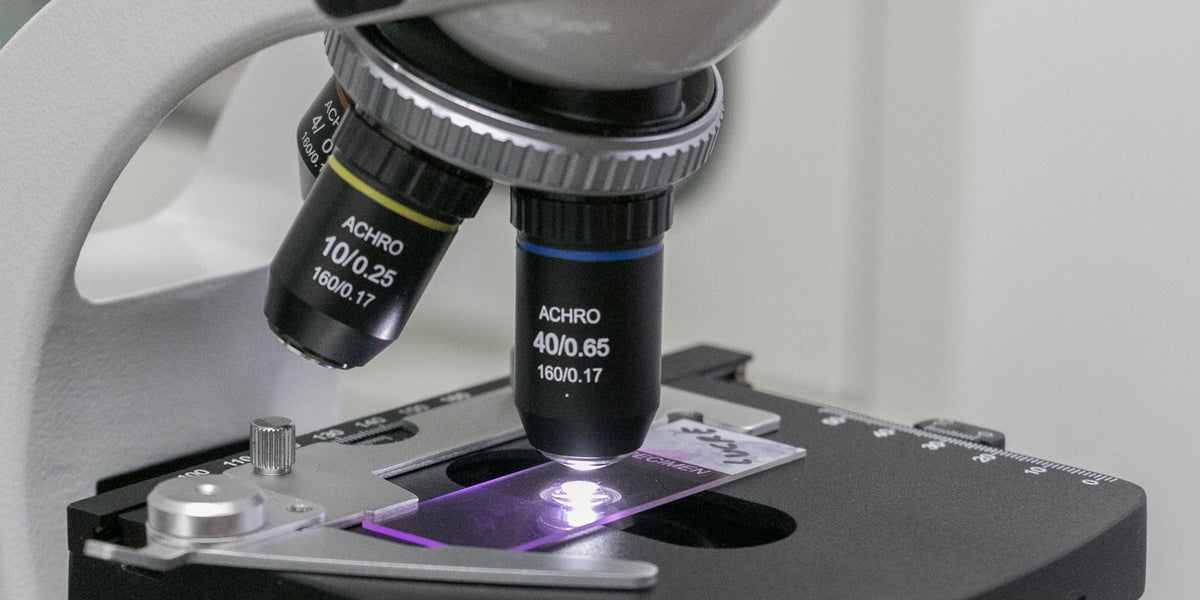 Beginners Guide to Using a Biological Microscope for the First Time ...