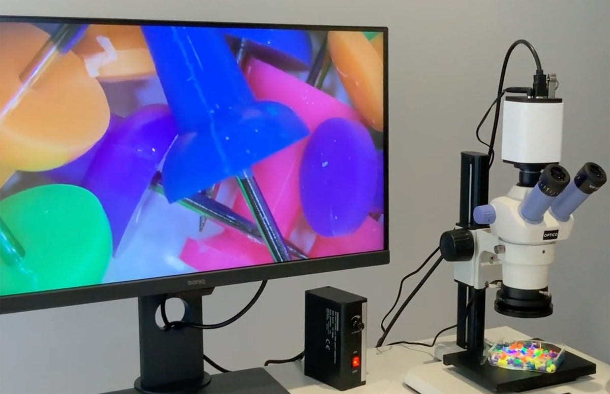 How to Find a Store That Sells the Best Digital Microscopes in Austral ...