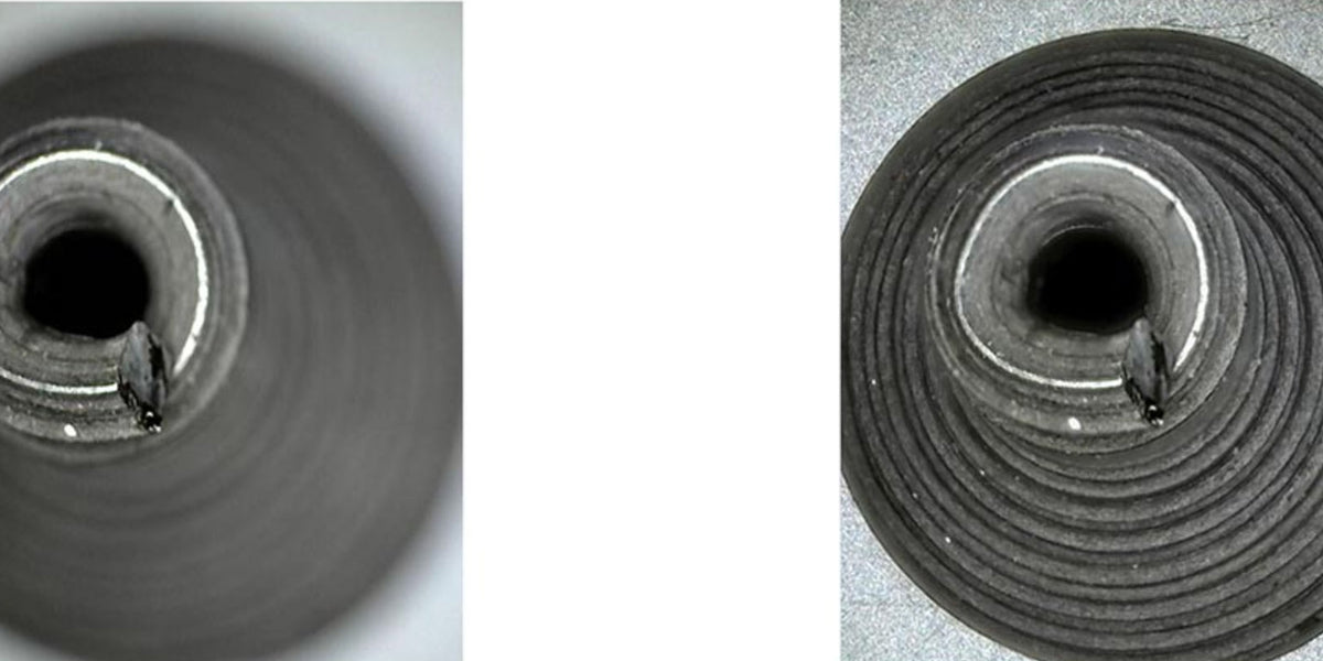 Microscope Depth of field and depth of focus explained — Microscopes.com.au