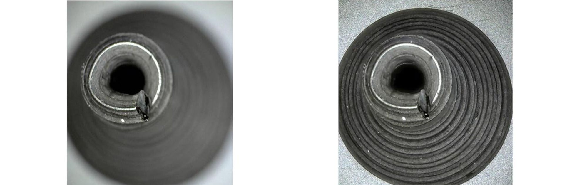 Microscope Depth of field and depth of focus explained — Microscopes.com.au