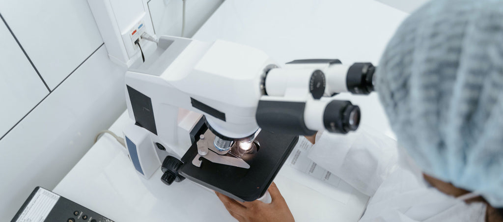 How to perform a faecal worm egg count with a microscope — Microscopes ...