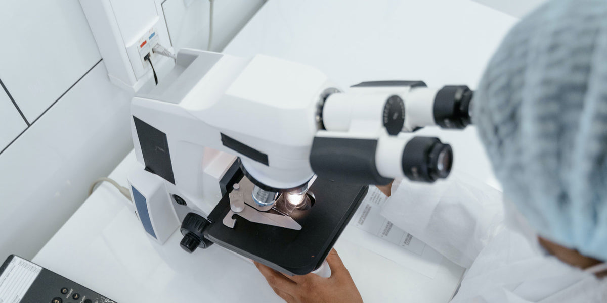 How to perform a faecal worm egg count with a microscope — Microscopes ...