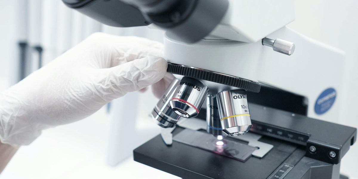 How to use and adjust a compound microscope — Microscopes.com.au