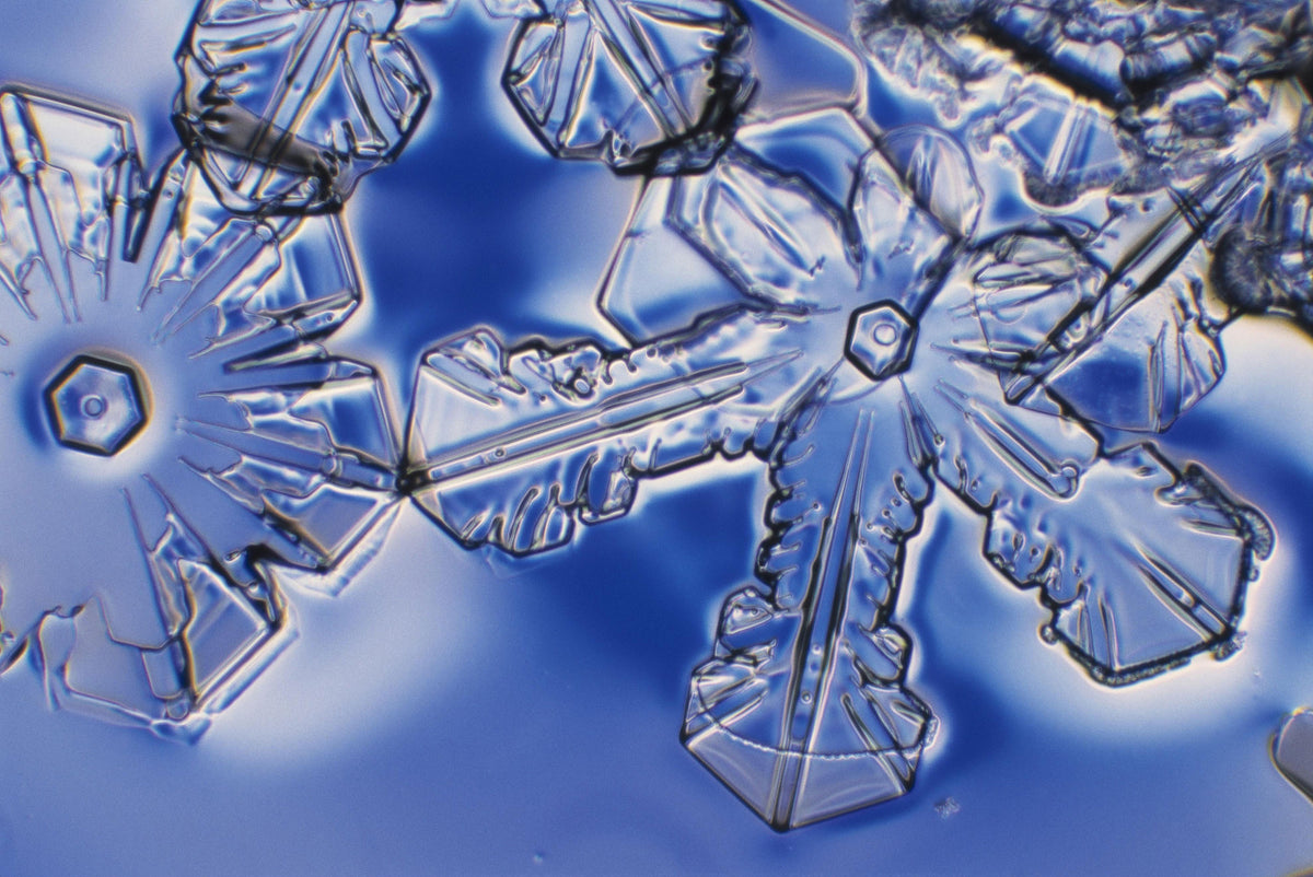 Ice crystals under the microscope — Microscopes.com.au