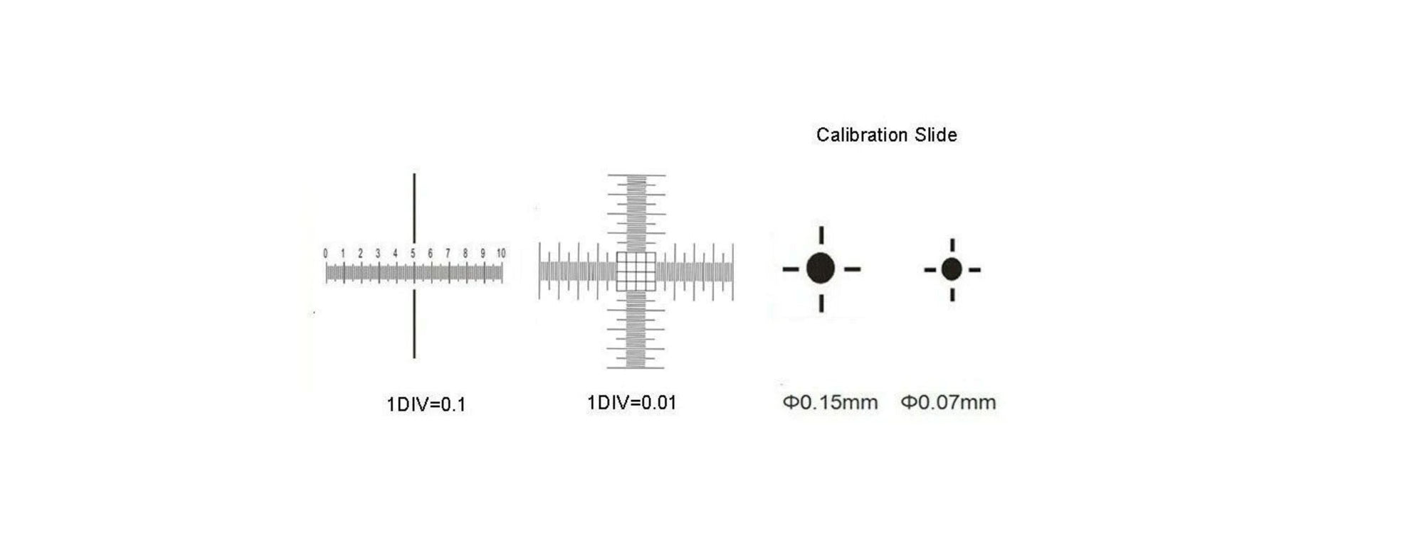 Microscope eyepiece reticles and micrometers explained — Microscopes.com.au