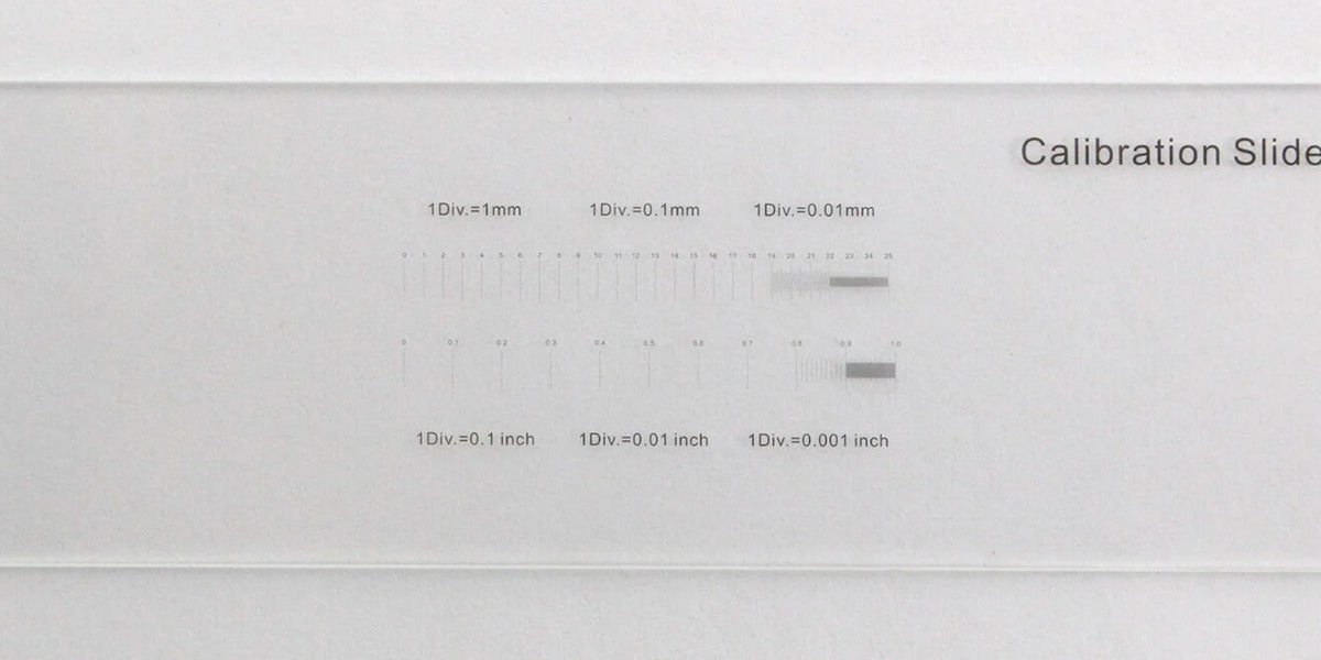How to calibrate a microscope for measurement — Microscopes.com.au