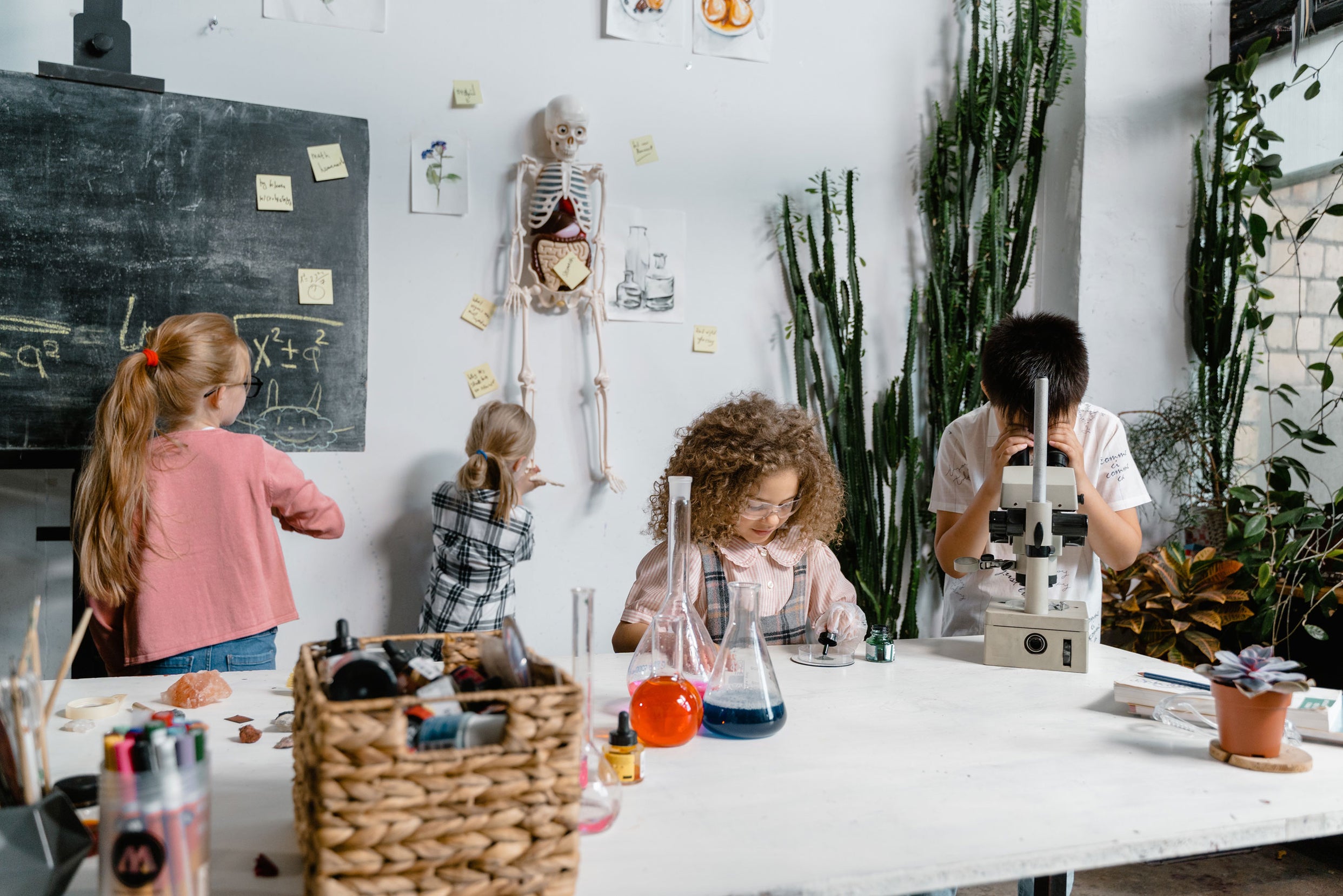 Fun microscope experiments for kids #3 — Microscopes.com.au