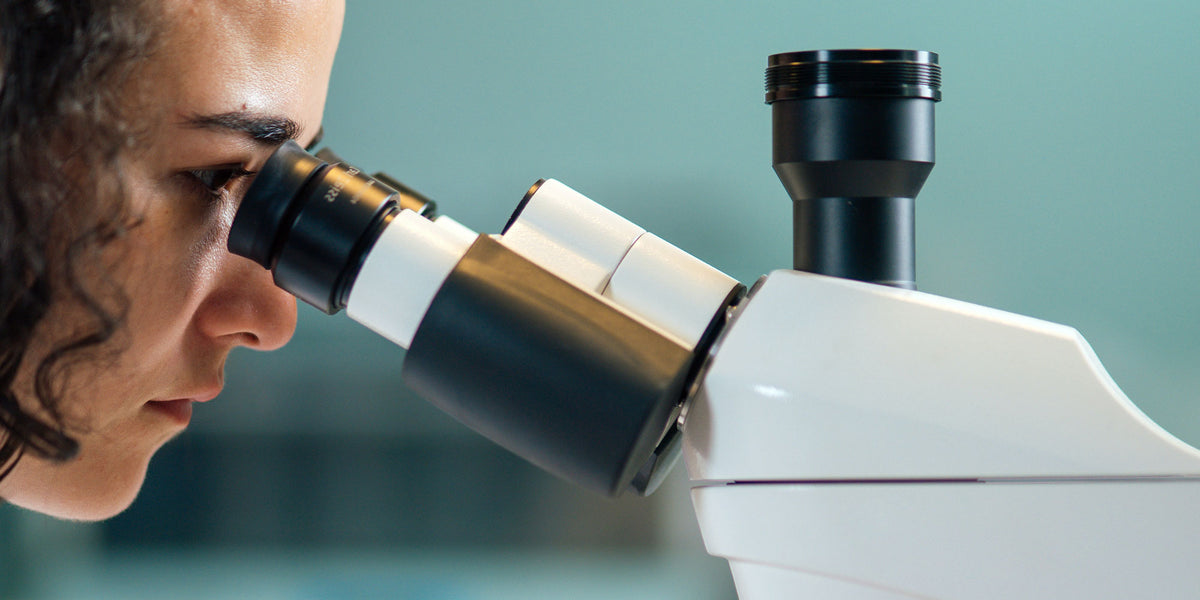 Different types of microscope heads explained — Microscopes.com.au