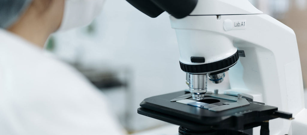 How to use microscope immersion oil — Microscopes.com.au