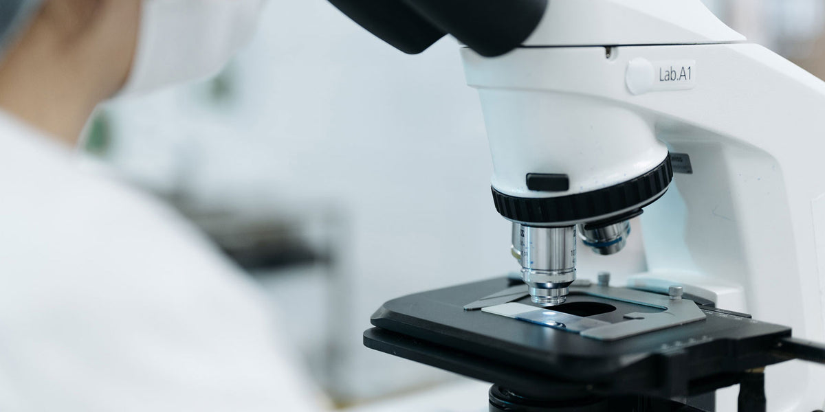 How to use microscope immersion oil — Microscopes.com.au