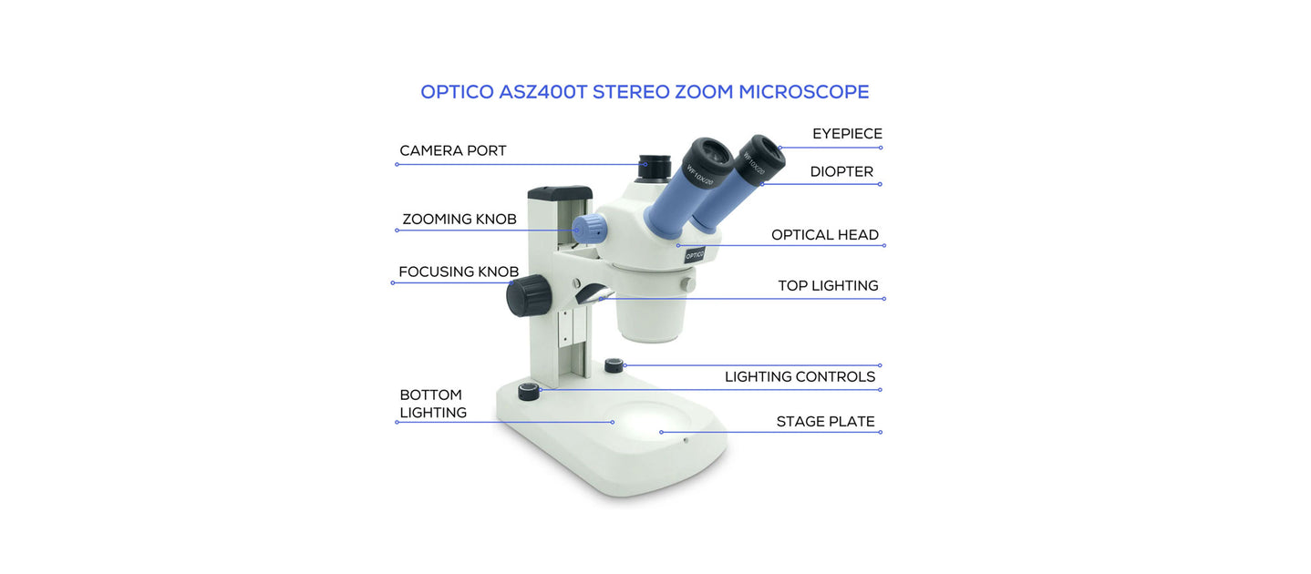 Stereo microscope parts diagram with labels and functions — Microscopes ...