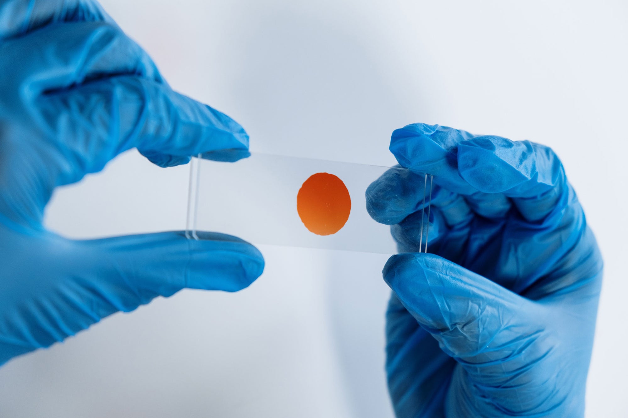 How to mount your own wet microscope slides — Microscopes.com.au