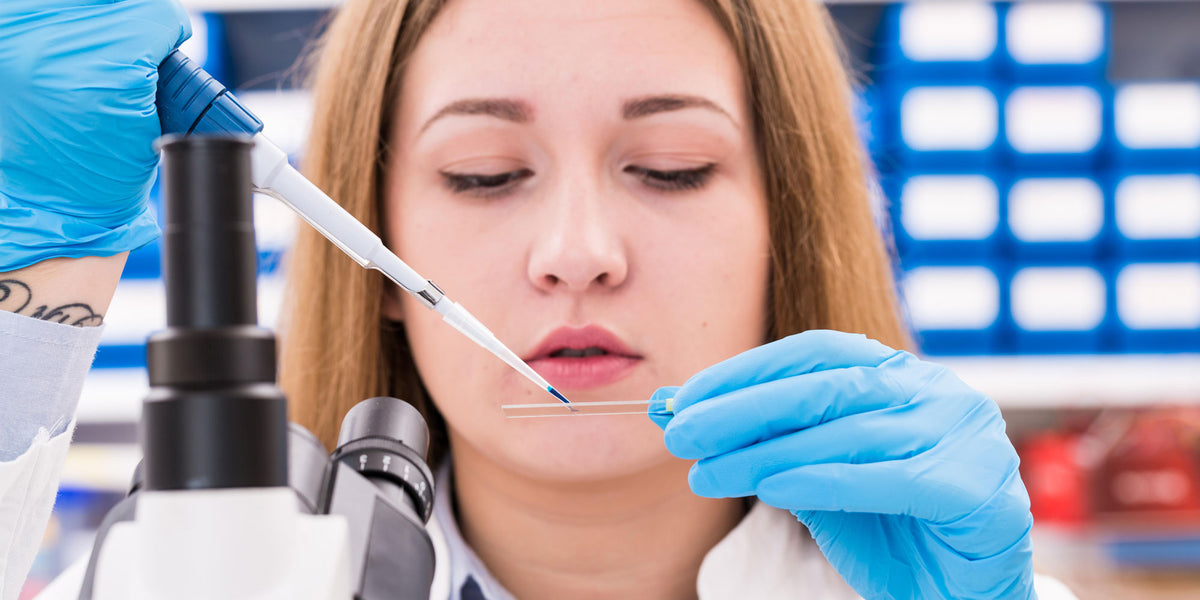 How to prepare a slide for a microscope — Microscopes.com.au