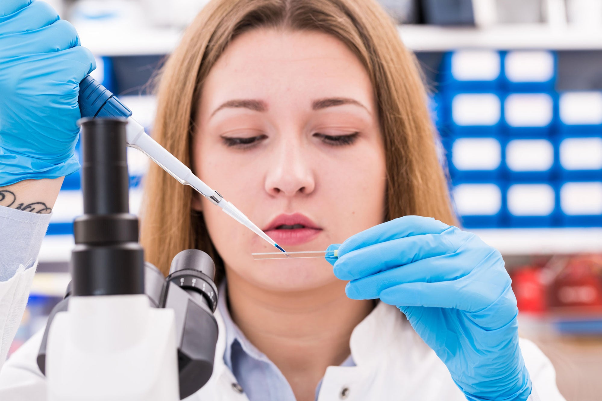 How to prepare a slide for a microscope — Microscopes.com.au