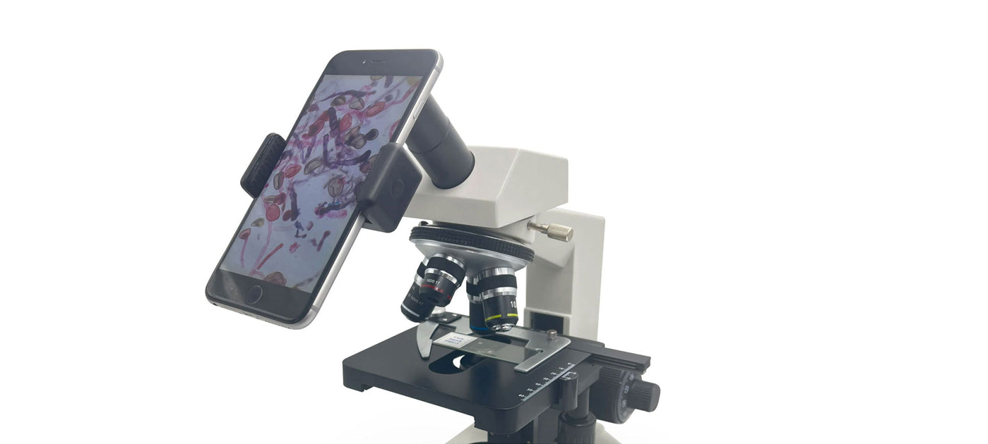 Microscope smartphone camera eyepiece adapter review — Microscopes.com.au