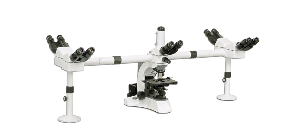 Multi-head training microscopes - what are they used for? — Microscopes ...