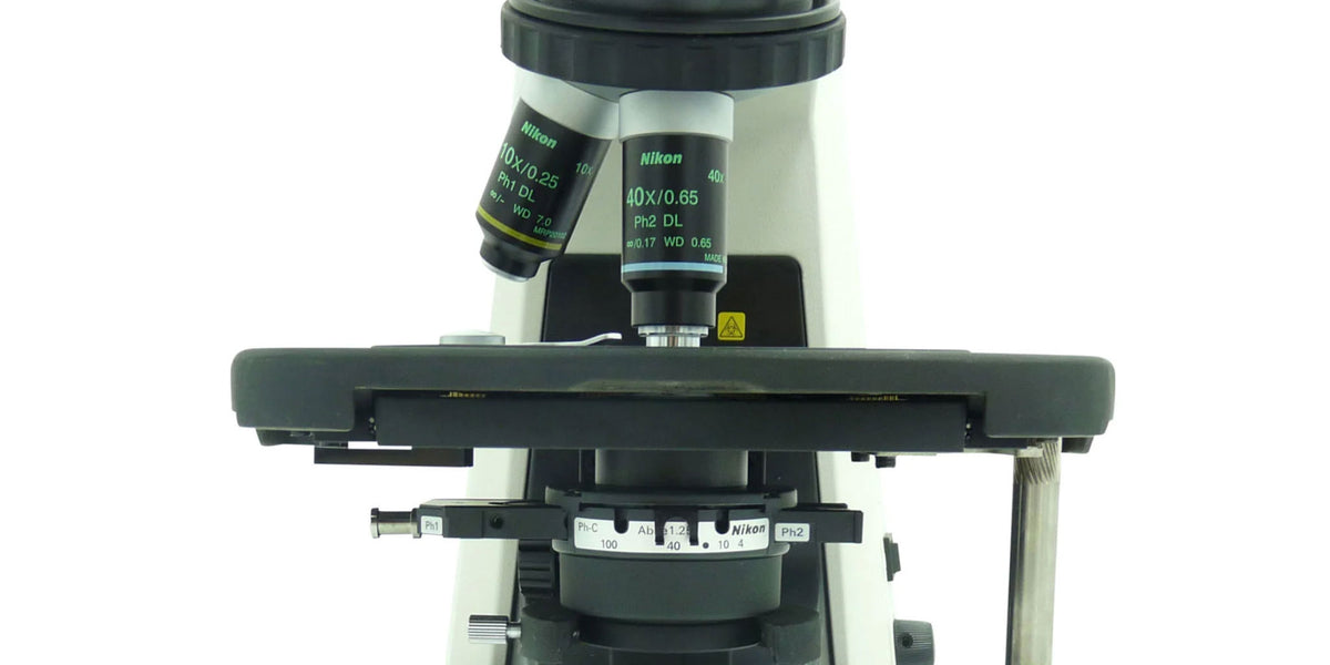 Phase contrast microscopy explained — Microscopes.com.au