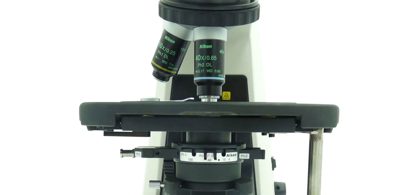 Phase contrast microscopy explained — Microscopes.com.au