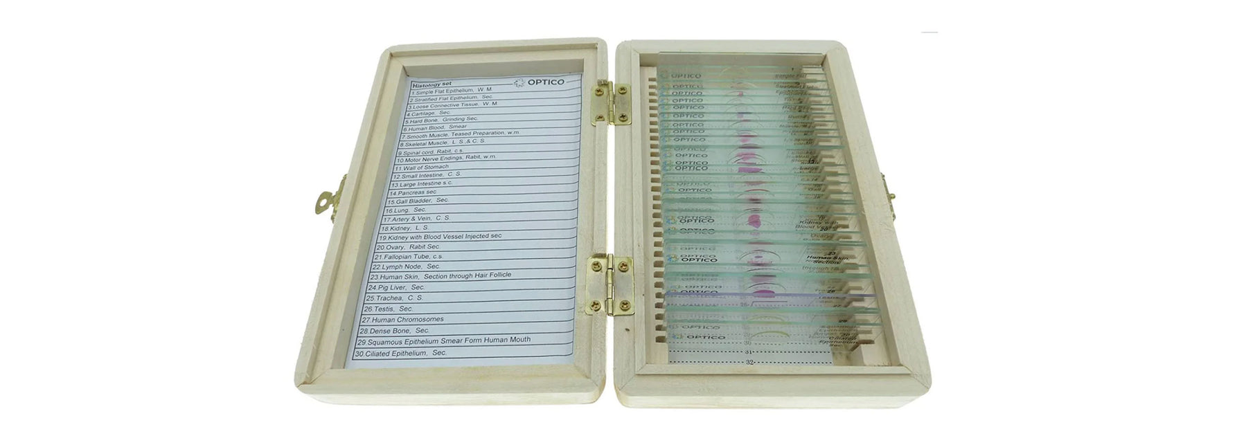 Prepared Microscope Slides Buying Advice — Microscopes.com.au