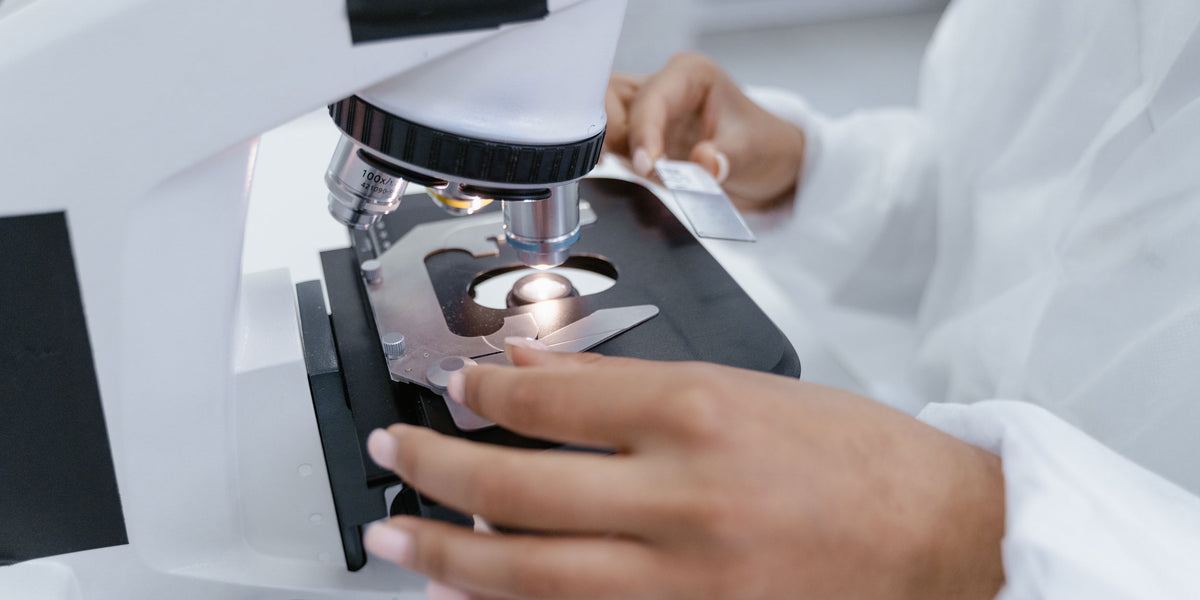 How to set up illumination for your microscope — Microscopes.com.au