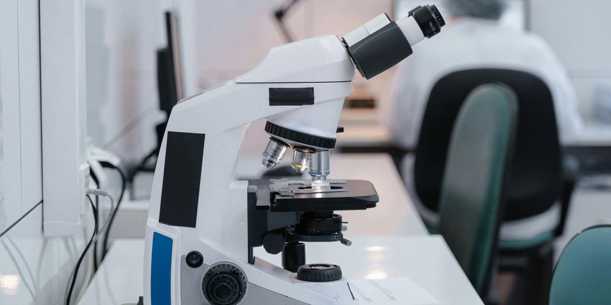 Transmitted light microscopes explained — Microscopes.com.au