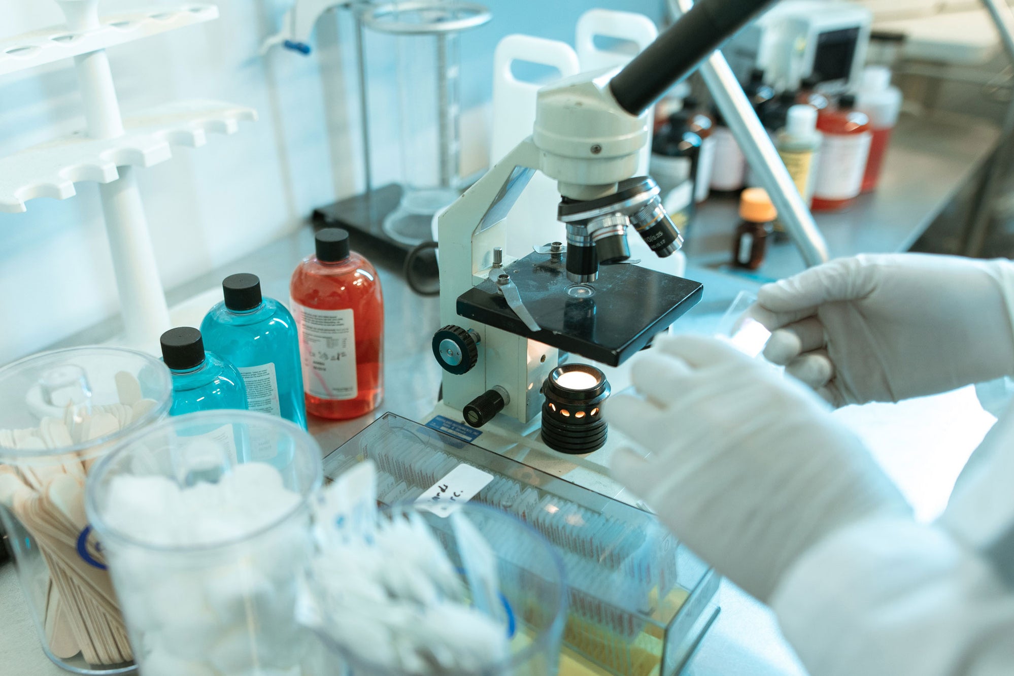 How to use stains to view bacteria under the microscope — Microscopes ...