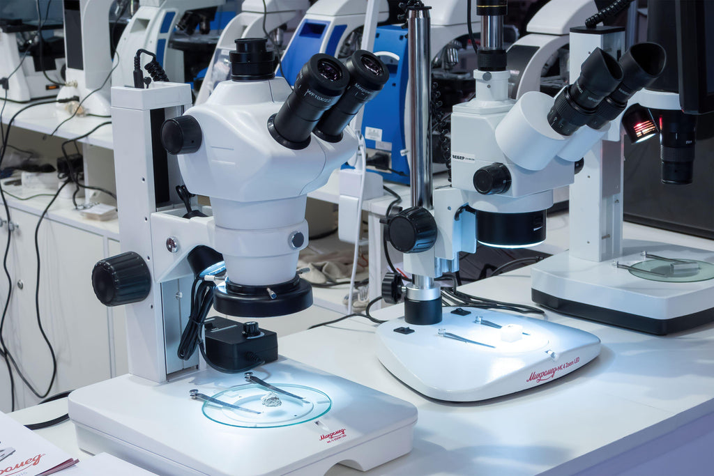 Stereo Light Microscopes: What You Need to Know When Buying One ...