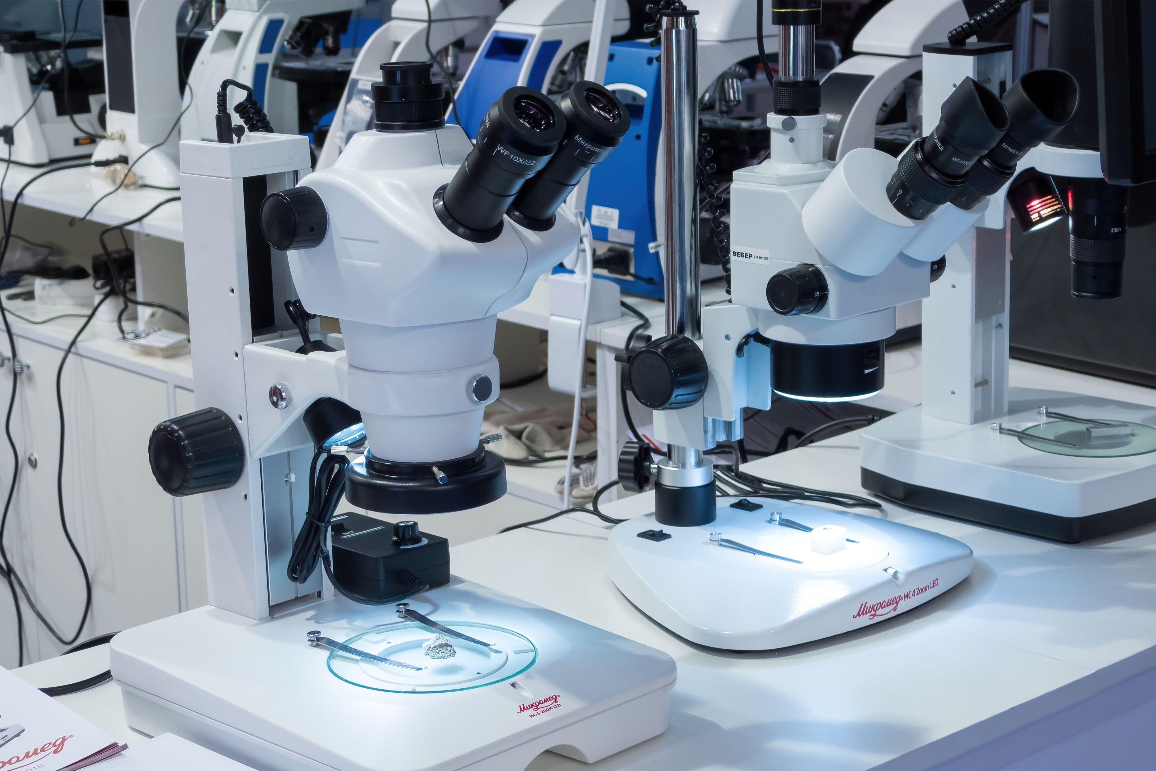 Stereo Light Microscopes: What You Need to Know When Buying One ...