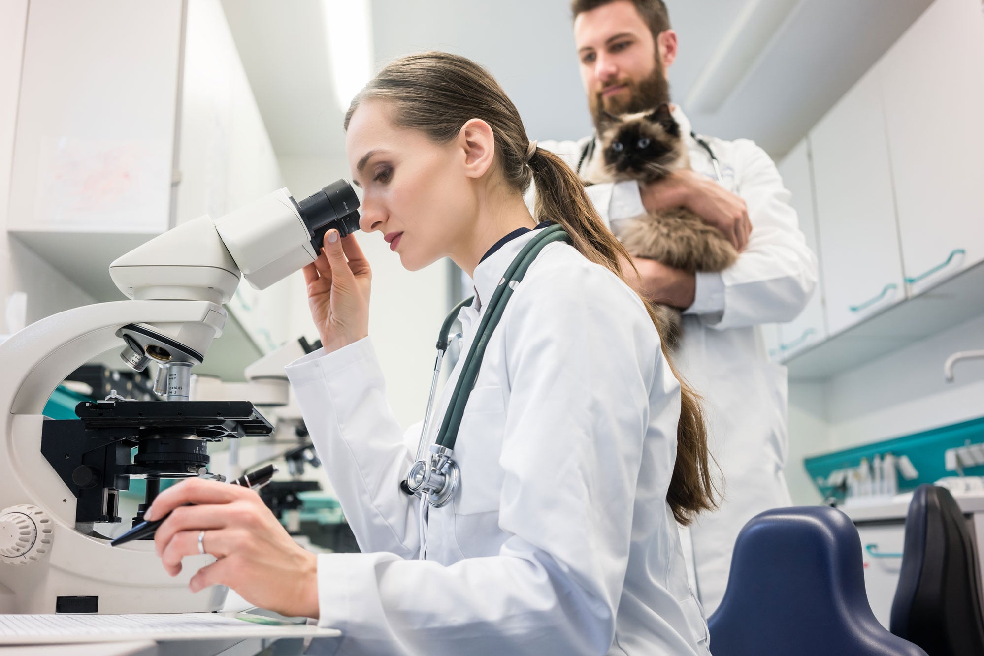 Choosing the best microscope for a veterinary practice — Microscopes.com.au