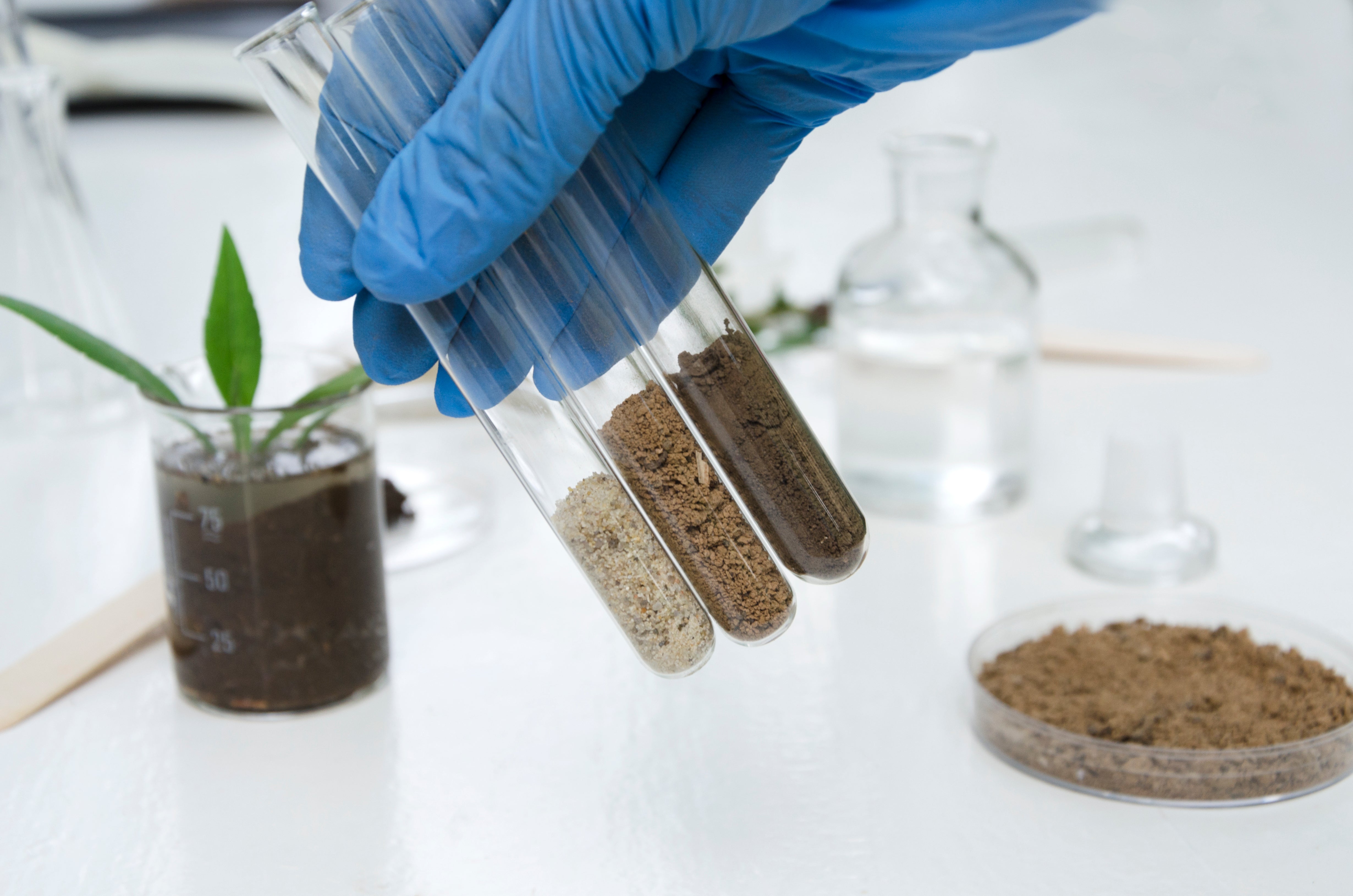 Soil Biology — Microscopes.com.au