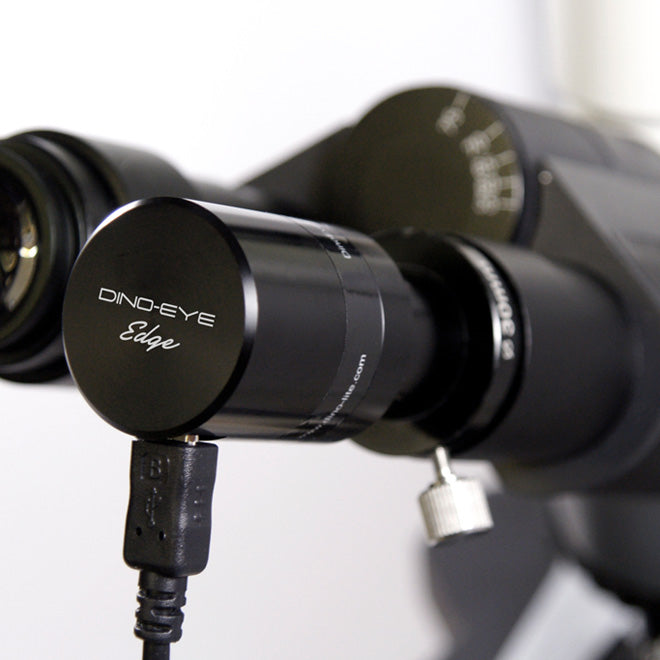 Dino-Eye Edge AM4025X — Microscopes.com.au