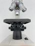 Student Microscope | Optico N400M Student Microscope — Microscopes.com.au