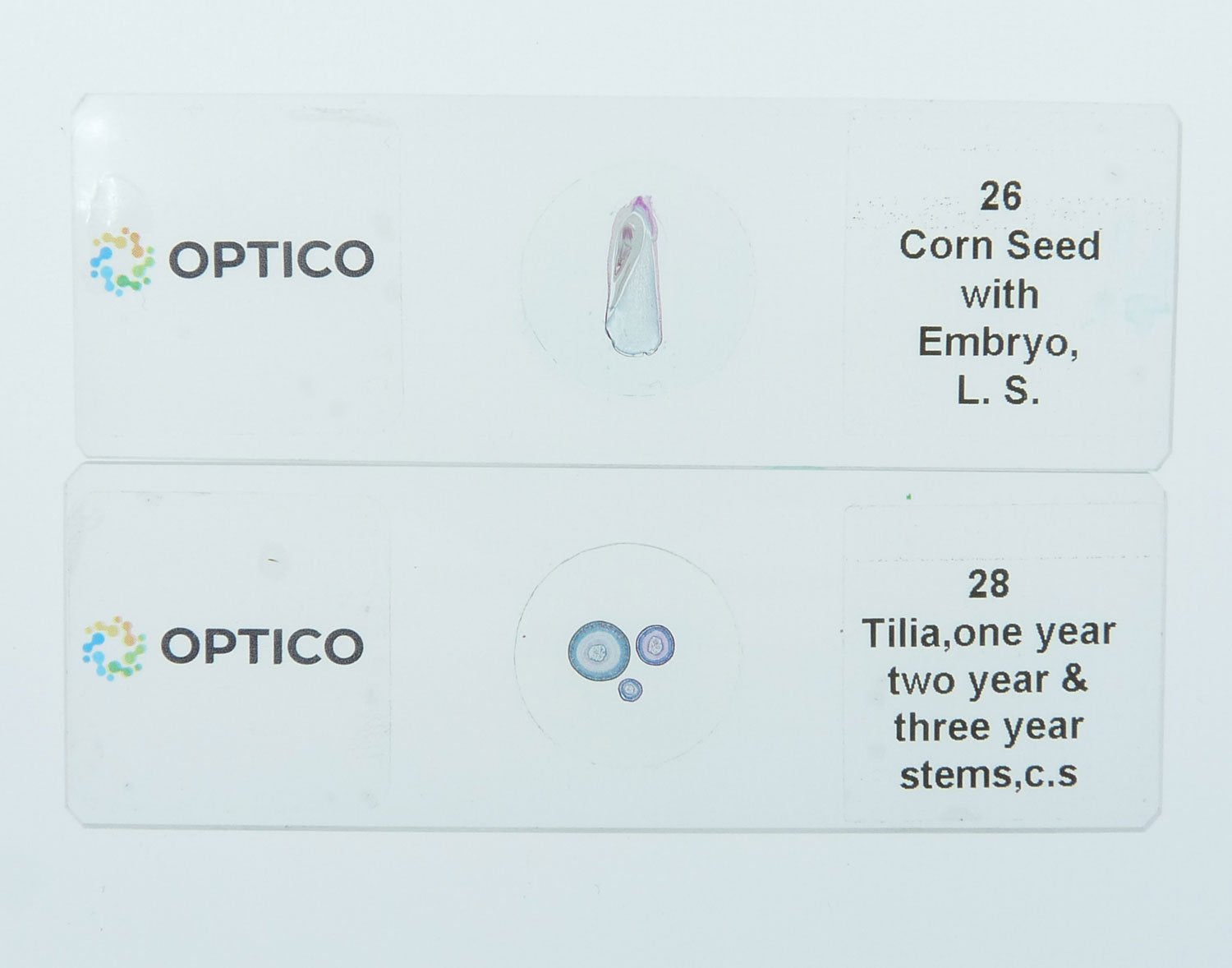 Botany & Plants Prepared Glass Microscope Slides Set of 30 ...