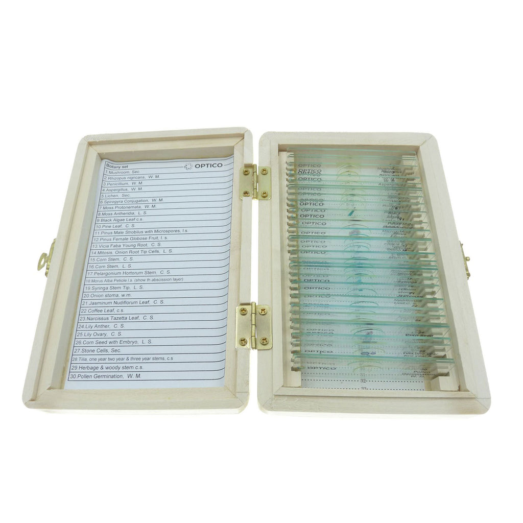 Botany & Plants Prepared Glass Microscope Slides Set of 30 ...