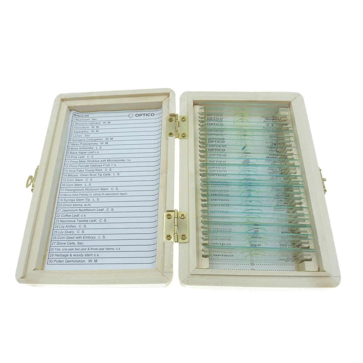Botany & Plants Prepared Glass Microscope Slides Set of 30 ...