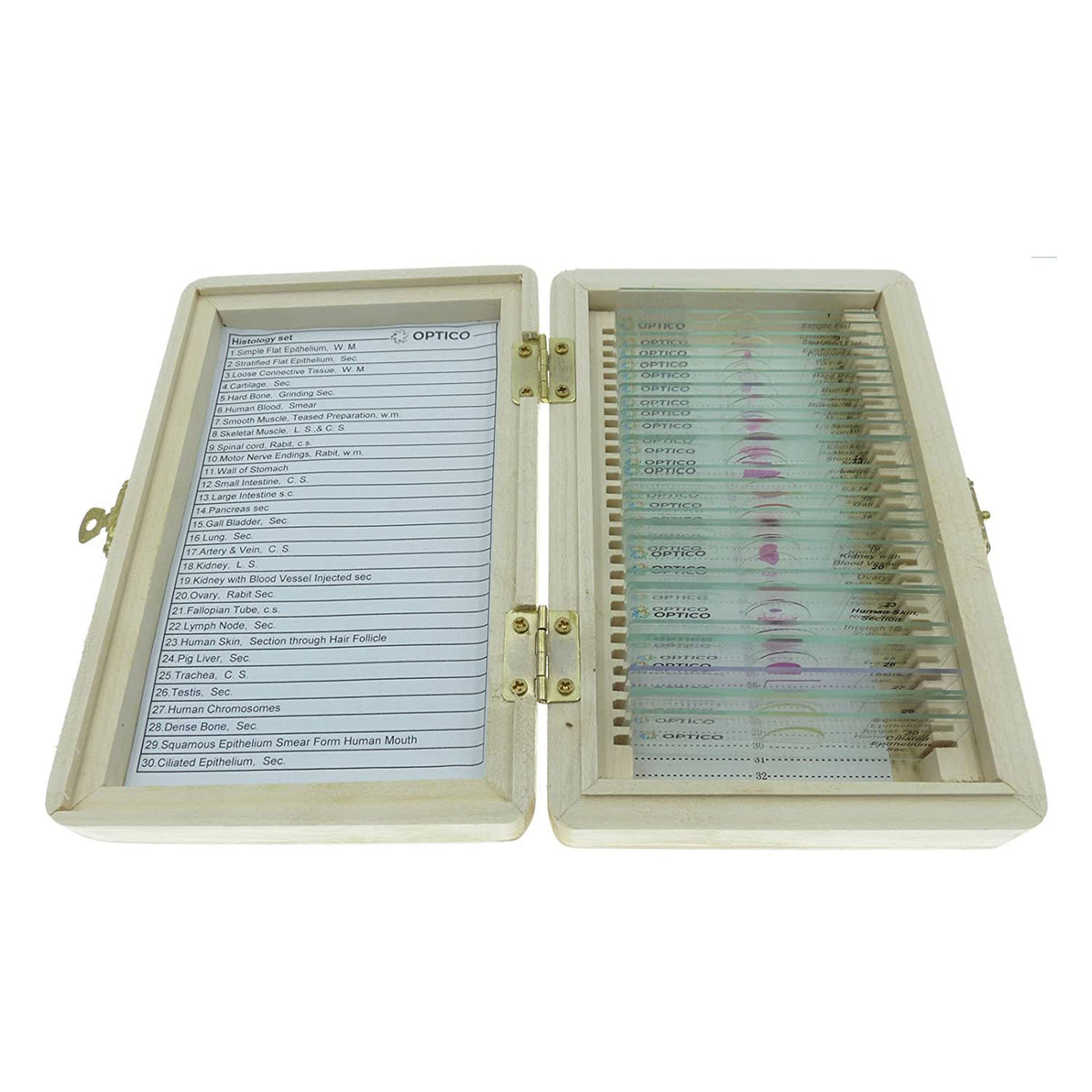 Histology Prepared Glass Microscope Slides Set of 30 — Microscopes.com.au