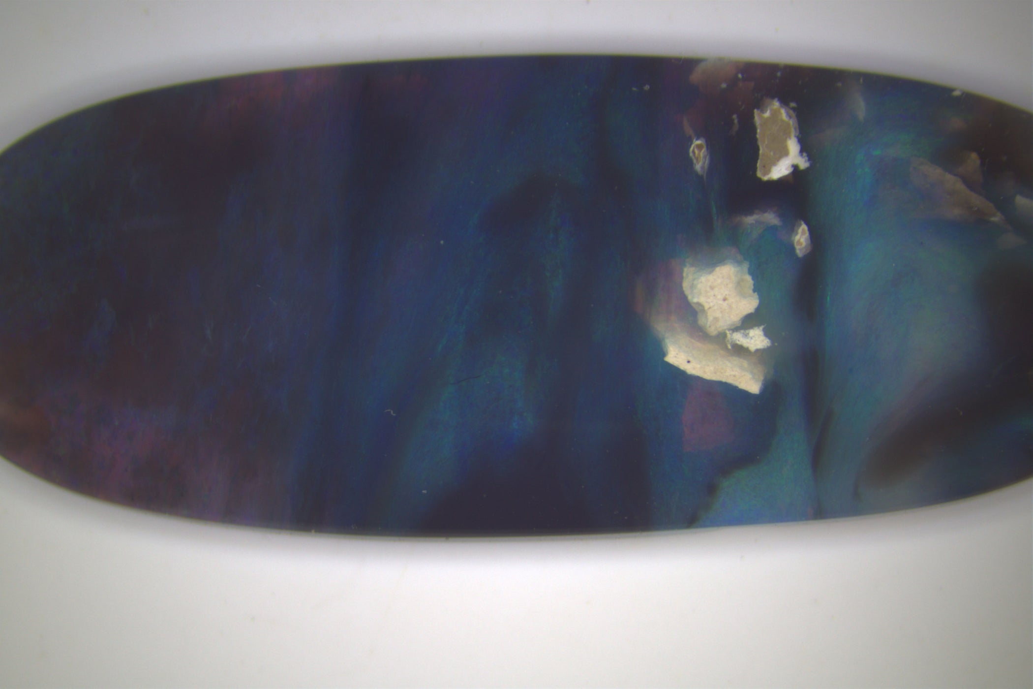 8W-LED Microscope Ring Light with Polarizer — Microscopes.com.au