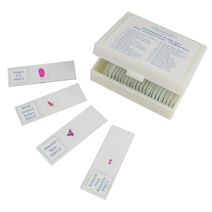 Classical Prepared Slide Sets | PS-03 High School Slides Set ...