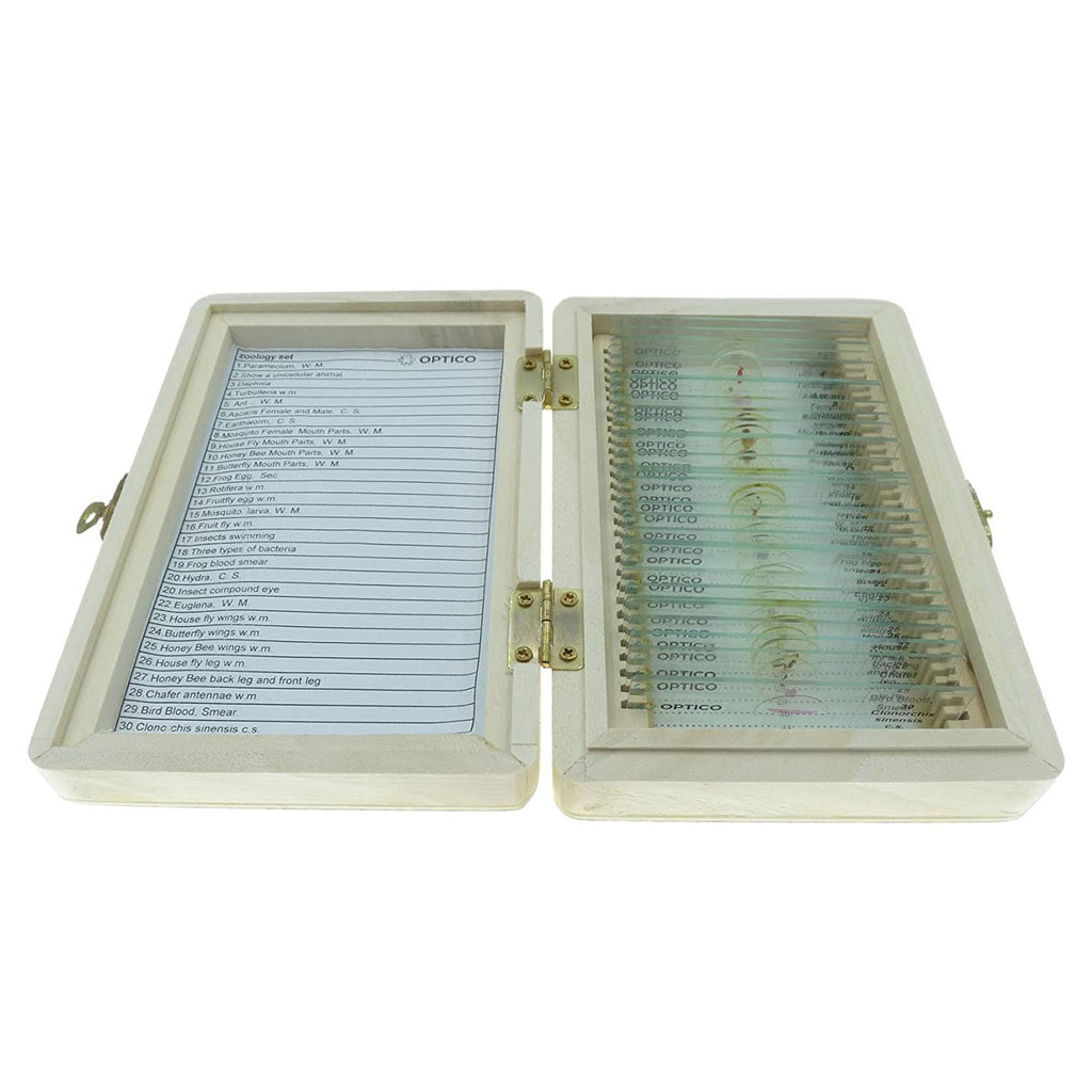 Zoology Prepared Glass Microscope Slides Set of 30 — Microscopes.com.au
